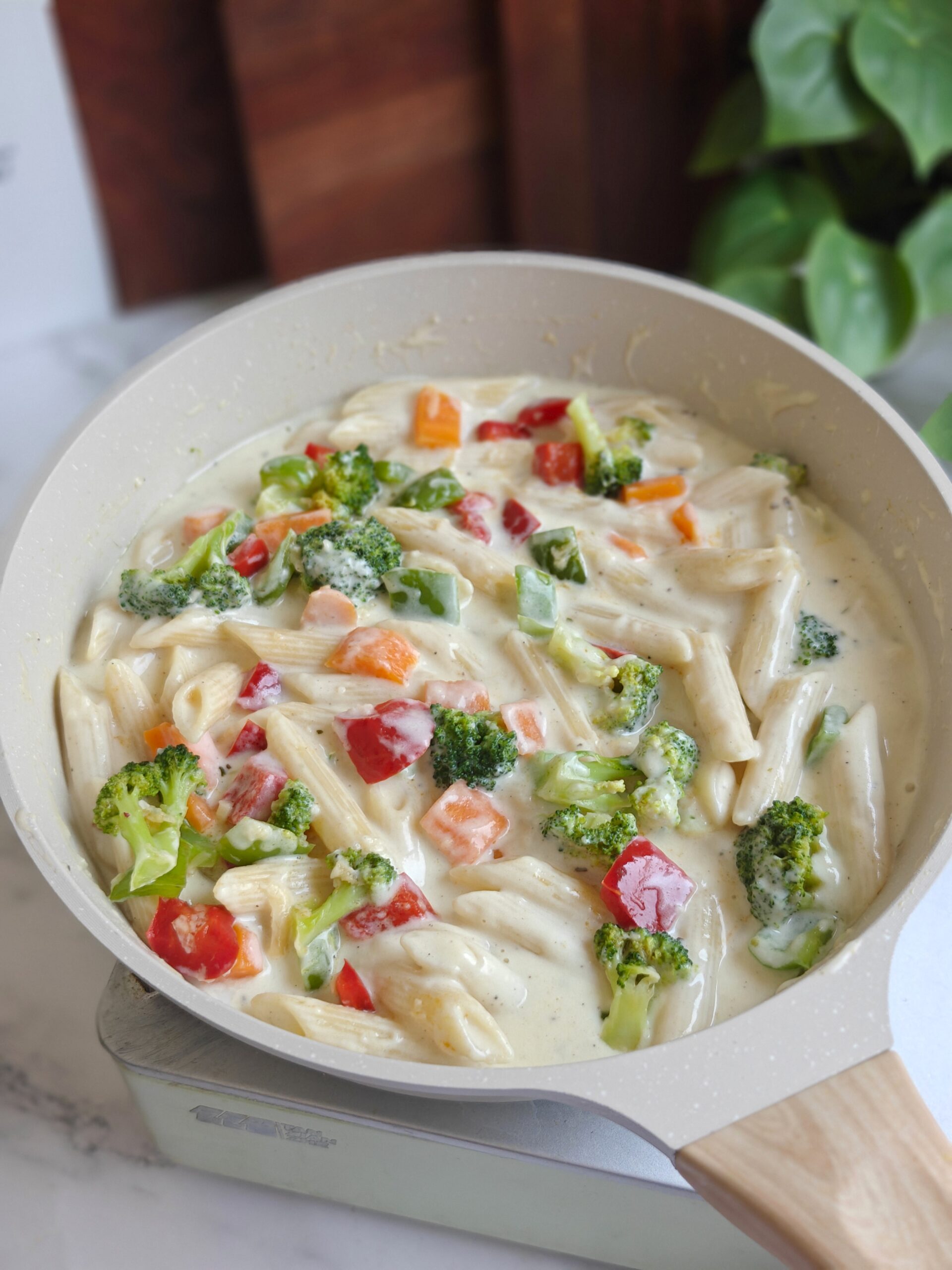White Sauce Pasta - The Artistic Cook